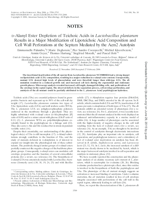 (PDF) D-Alanyl Ester Depletion of Teichoic Acids in Lactobacillus ...