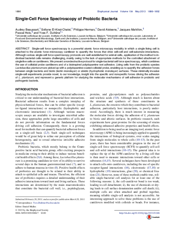 (PDF) Single-Cell Force Spectroscopy of Probiotic Bacteria