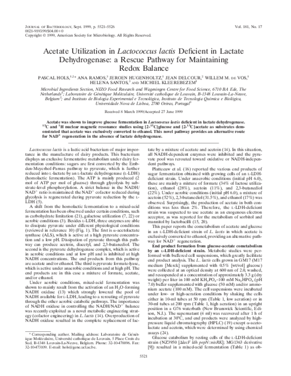 (PDF) Acetate Utilization in Lactococcus lactis Deficient in Lactate Dehydrogenase: a Rescue ...