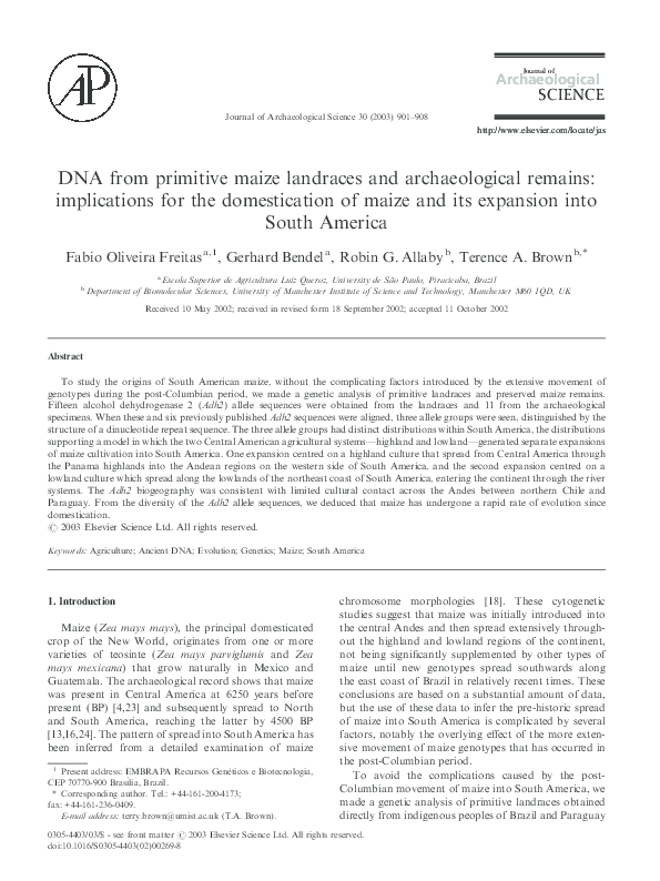 (PDF) DNA from primitive maize landraces and archaeological remains ...