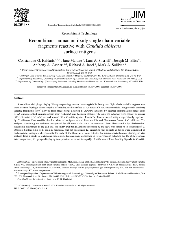 (PDF) Recombinant human antibody single chain variable fragments reactive with Candida albicans ...