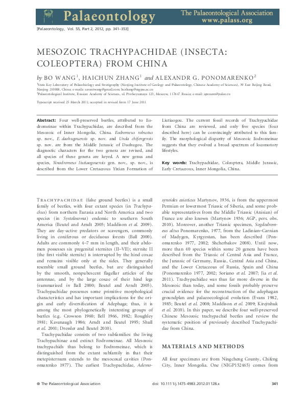 (PDF) Mesozoic Trachypachidae (Insecta: Coleoptera) from China