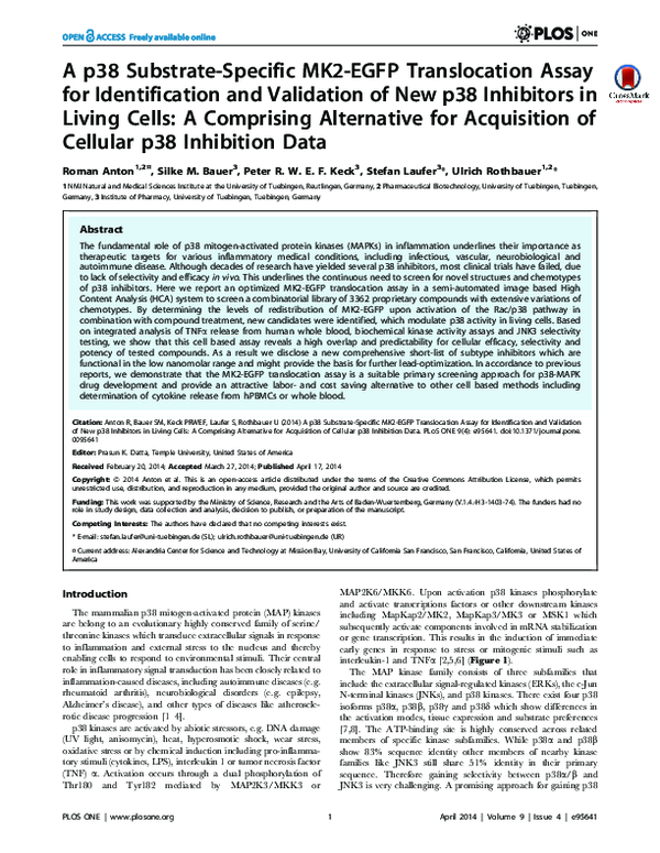 (PDF) A p38 Substrate-Specific MK2-EGFP Translocation Assay for ...