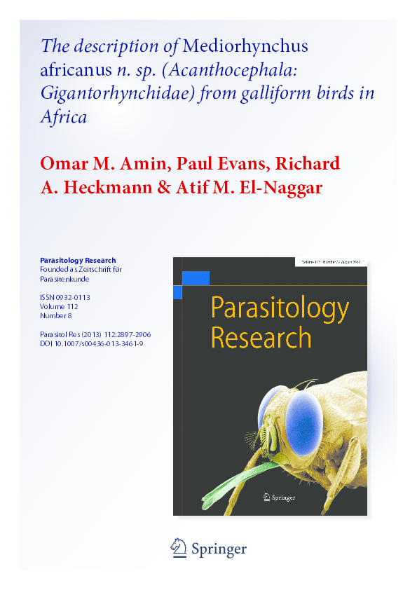 (PDF) The description of Mediorhynchus africanus n. sp. (Acanthocephala ...