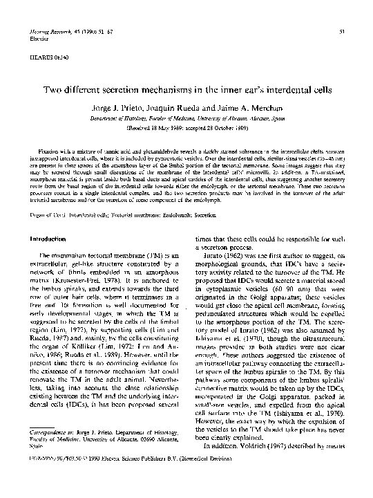 (PDF) Two different secretion mechanisms in the inner ear's interdental ...