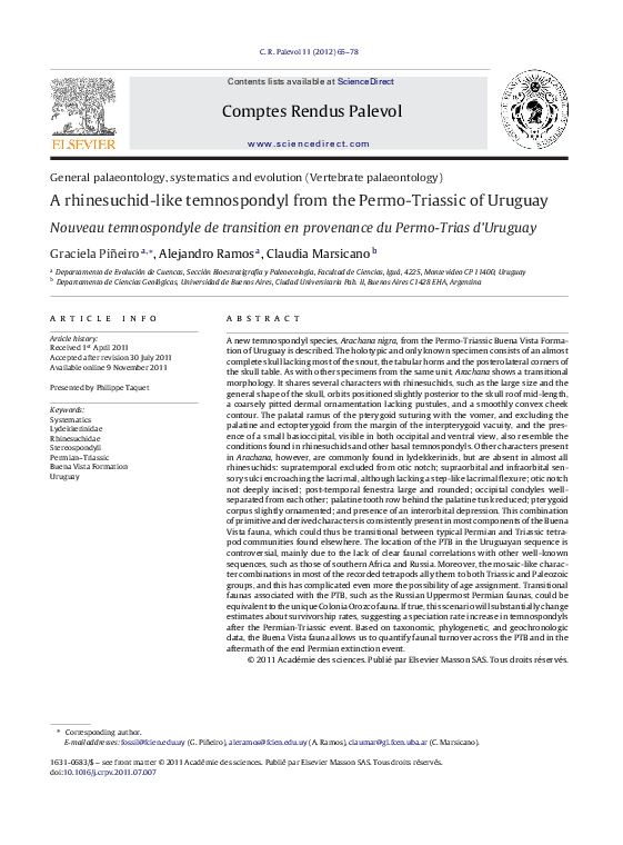 (PDF) A rhinesuchid-like temnospondyl from the Permo-Triassic of Uruguay
