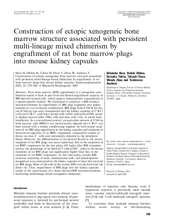 (PDF) Construction of ectopic xenogeneic bone marrow structure ...