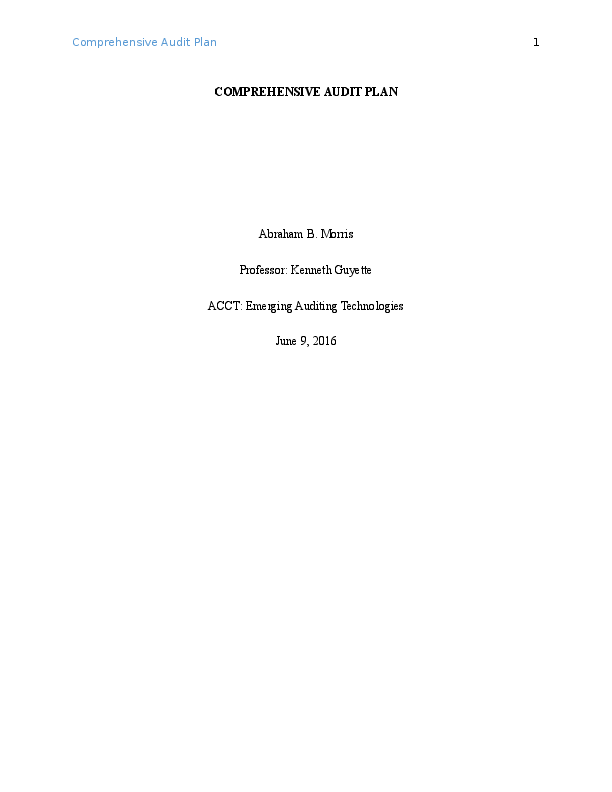 (DOC) COMPREHENSIVE AUDIT PLAN