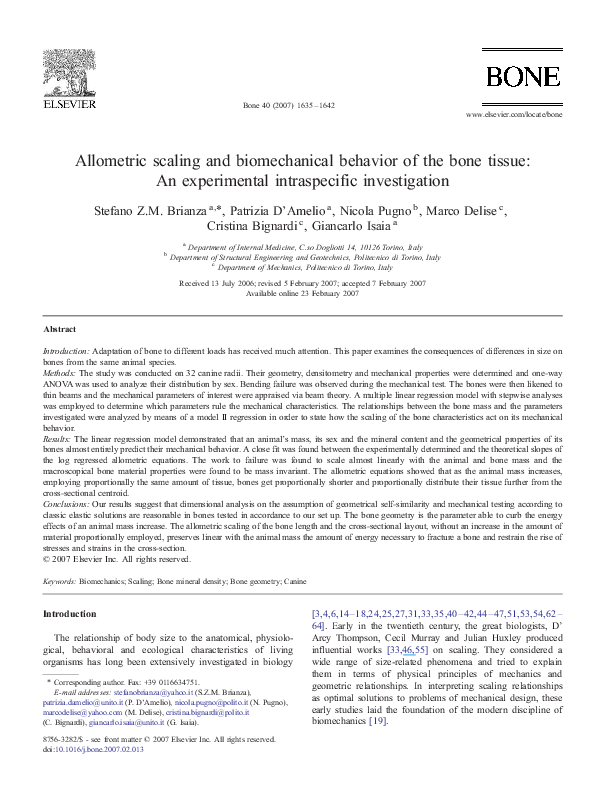 (PDF) Allometric scaling and biomechanical behavior of the bone tissue ...