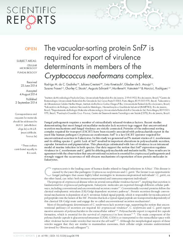 (PDF) The vacuolar-sorting protein Snf7 is required for export of ...
