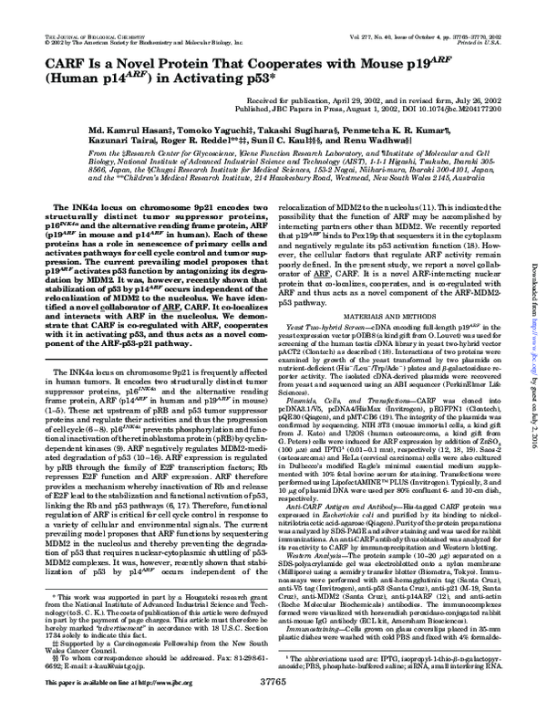 (PDF) CARF Is a Novel Protein That Cooperates with Mouse p19ARF (Human ...