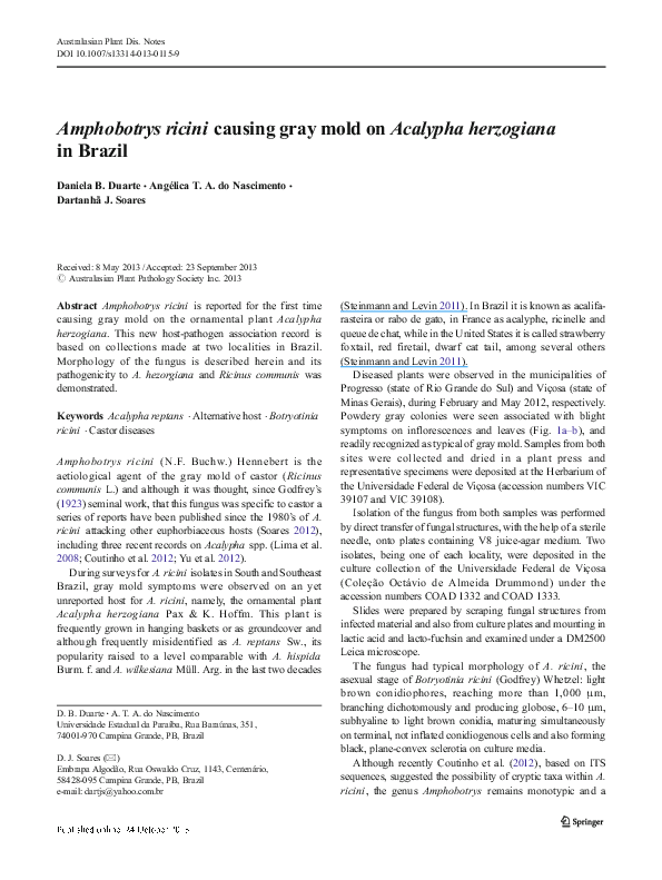 (PDF) Amphobotrys ricini causing gray mold on Acalypha herzogiana in Brazil