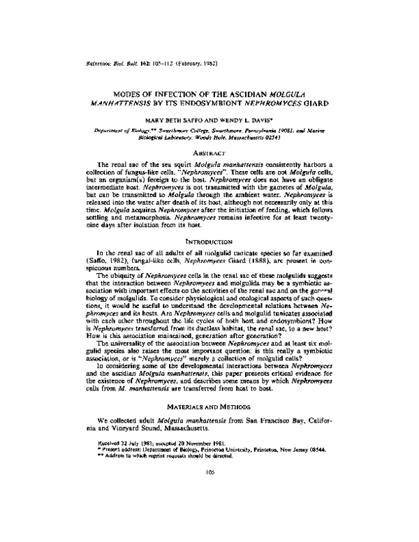 (PDF) Modes of Infection of the Ascidian Molgula manhattensis by Its ...