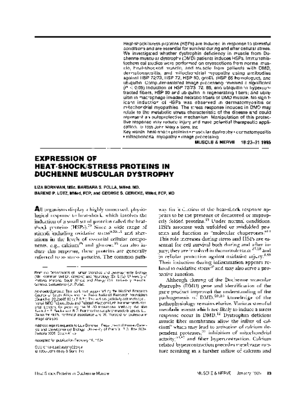 (PDF) Expression of heat-shock/stress proteins in duchenne muscular dystrophy
