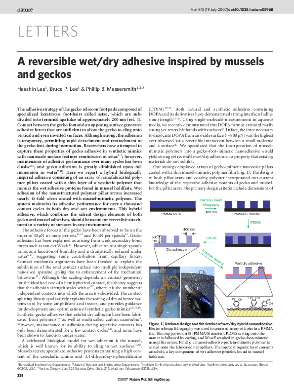 (PDF) A reversible wet/dry adhesive inspired by mussels and geckos (PDF) A reversible wet/dry adhesive inspired by mussels and geckos