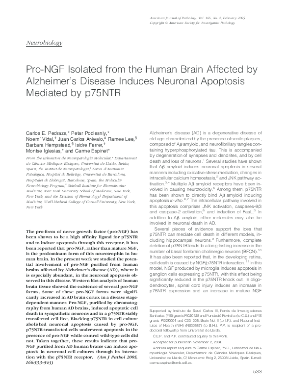 (PDF) Pro-NGF Isolated from the Human Brain Affected by Alzheimer's ...