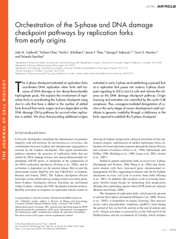 (PDF) Limiting DNA polymerase delta alters replication dynamics and ...