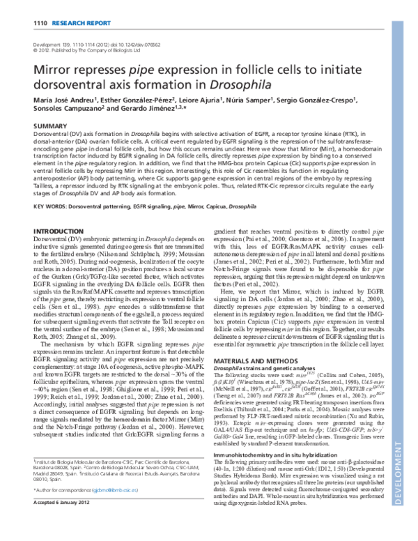 (PDF) Mirror represses pipe expression in follicle cells to initiate ...
