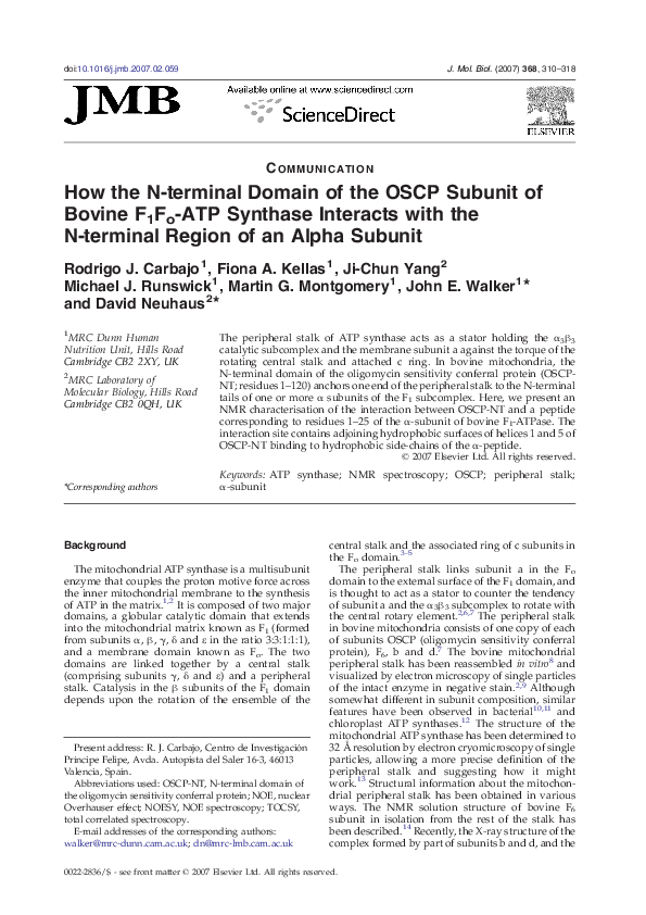 (PDF) How the N-terminal Domain of the OSCP Subunit of Bovine F1Fo-ATP Synthase Interacts with ...