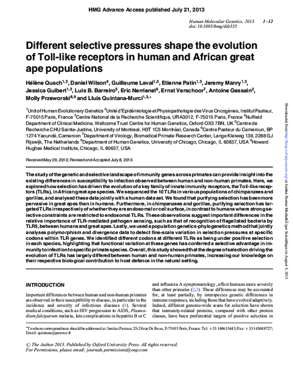 (PDF) Different selective pressures shape the evolution of Toll-like ...