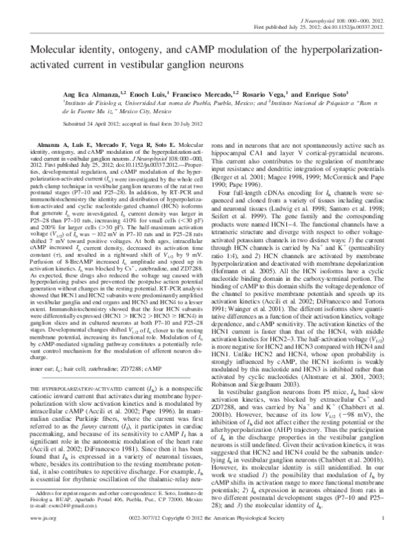 Pdf Molecular Identity Ontogeny And Camp Modulation Of The Hyperpolarization Activated