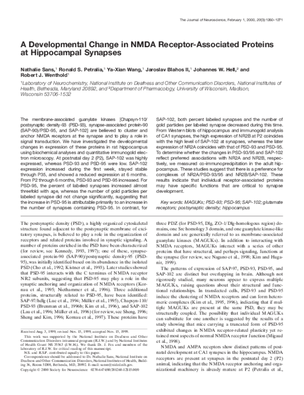 (PDF) A developmental change in NMDA receptor-associated proteins at ...