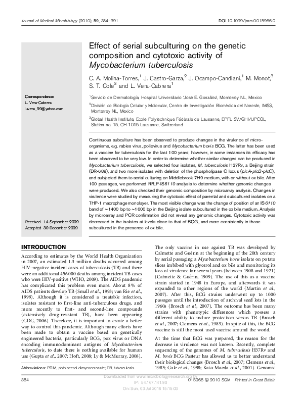 (PDF) Effect of serial subculturing on the genetic composition and ...