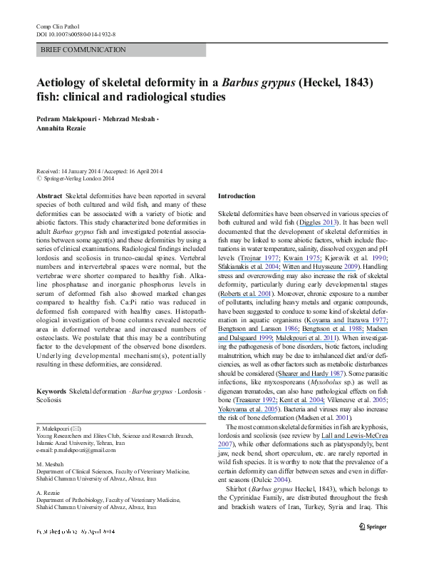 Aetiology of skeletal deformity in a Barbus grypus (Heckel, 1843) fish ...