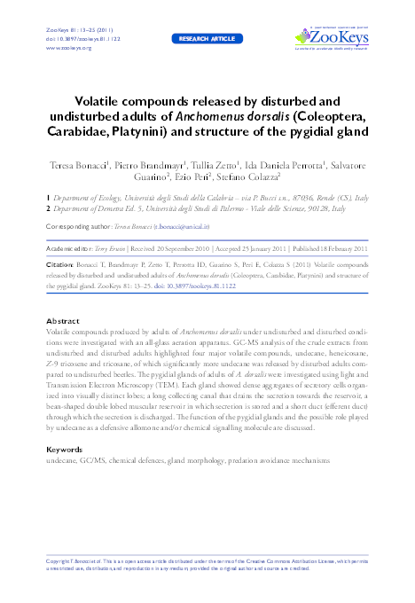 (PDF) Pygidial Glands in Carabidae, an Overview of Morphology and ...