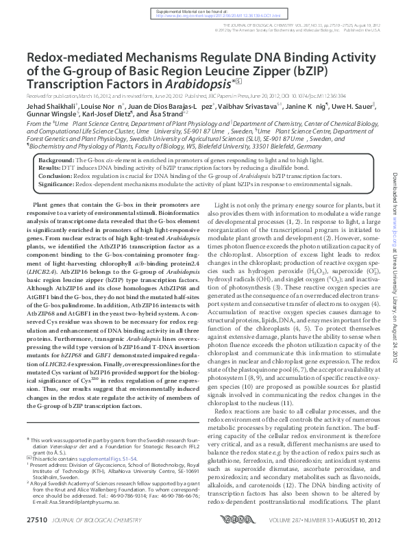 (PDF) Redox-mediated Mechanisms Regulate DNA Binding Activity of the G ...