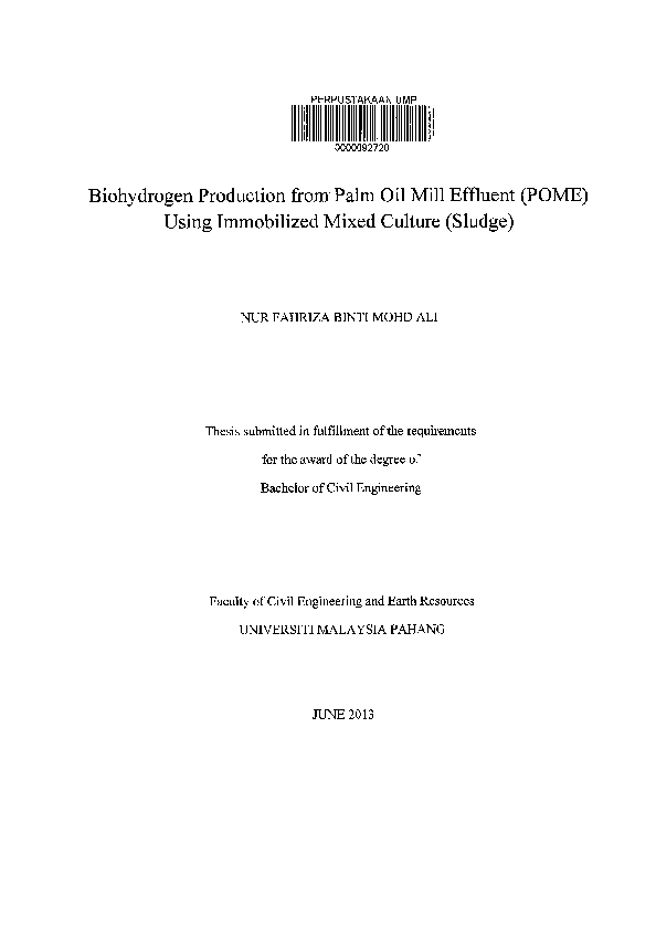(PDF) Biohydrogen Production from Palm Oil Mill Effluent (POME) Using ...