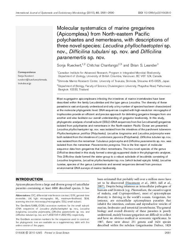 (PDF) Molecular systematics of marine gregarines (Apicomplexa) from ...