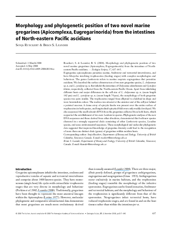 (PDF) Morphology and phylogenetic position of two novel marine ...