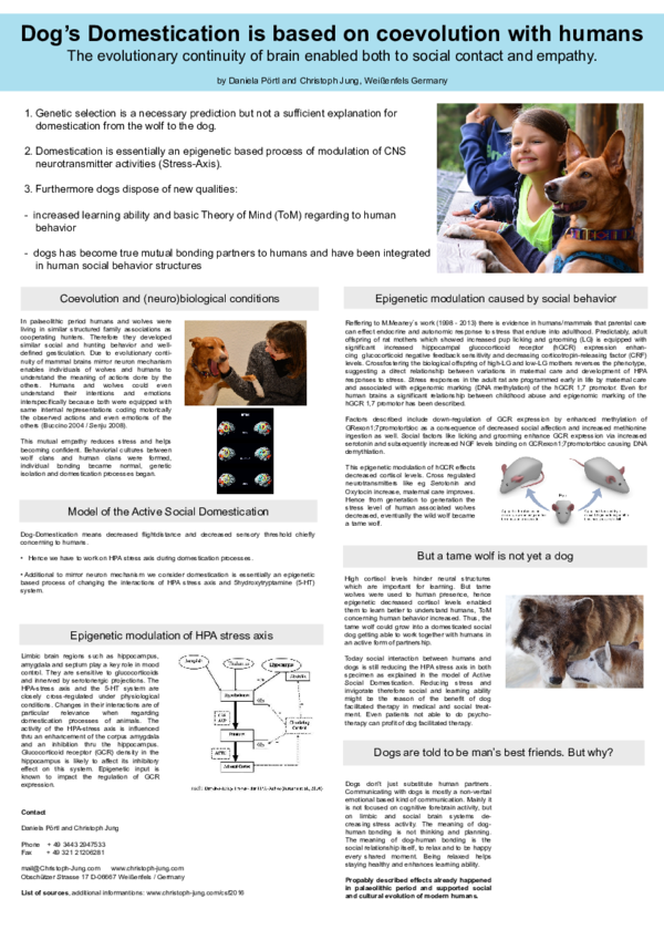 (PDF) Dog's Domestication is based on coevolution with humans