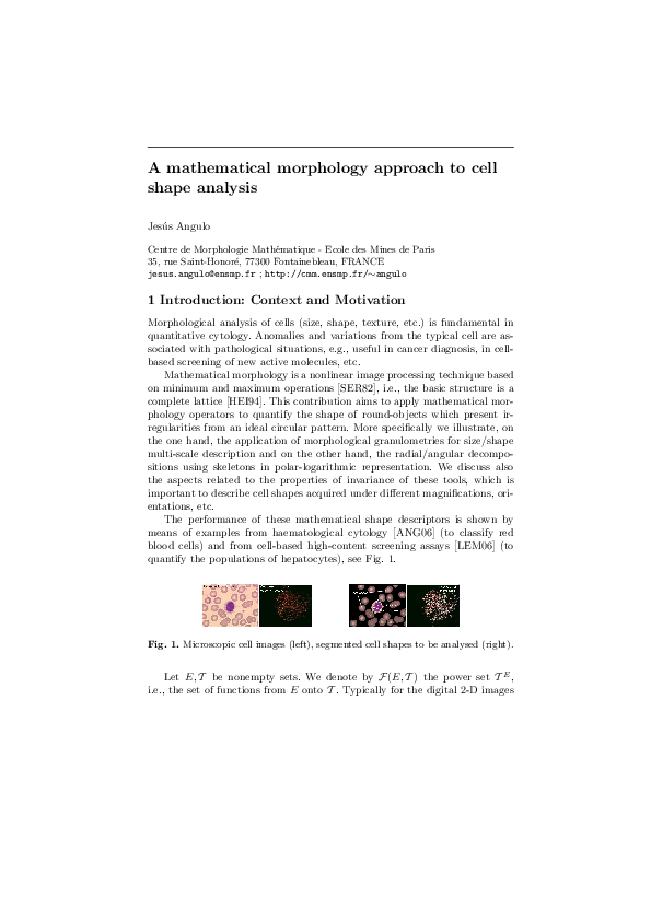 (PDF) A Mathematical Morphology Approach to Cell Shape Analysis