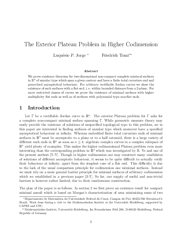 (PDF) The exterior Plateau problem in higher codimension