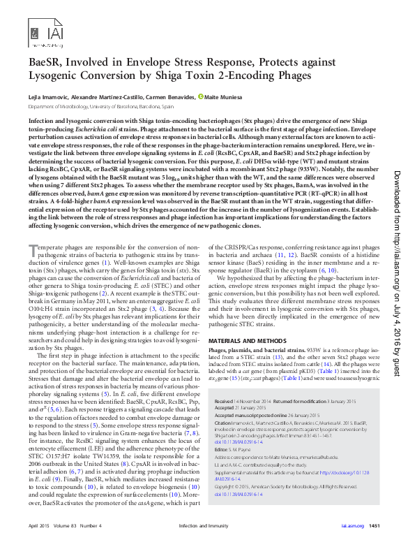 (PDF) Envelope stress response BaeSR protects against lysogenic ...