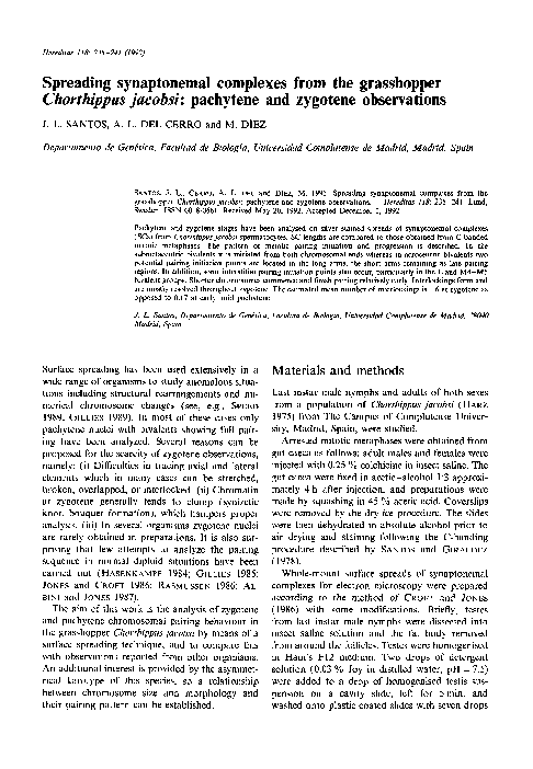 (PDF) Spreading Synaptonemal Complexes from the Grasshopper Chorthippus ...