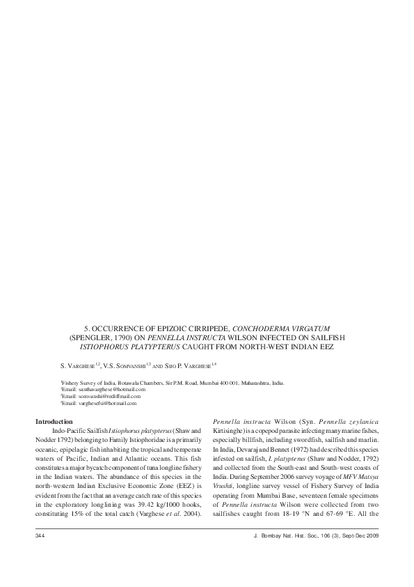 (PDF) Occurrence of Epizoic Cirripede, Conchoderma Virgatum (Spengler ...
