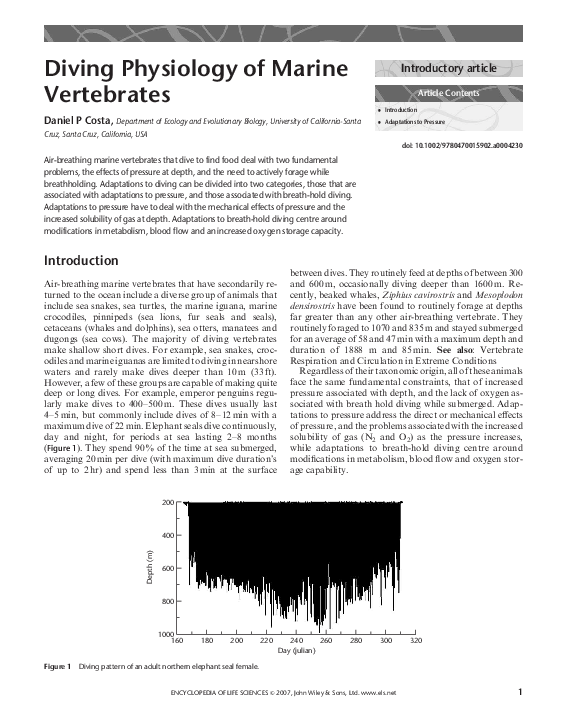 (PDF) Diving Physiology of Marine Vertebrates