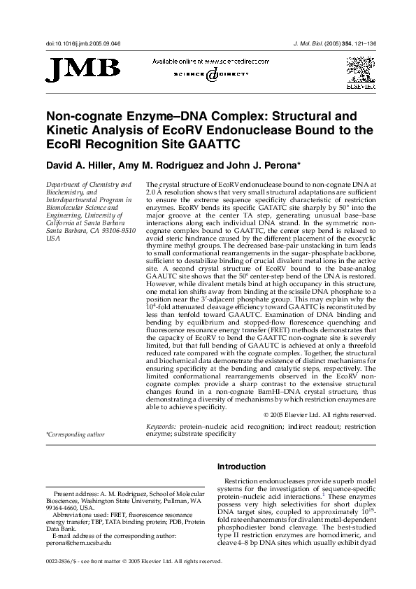 (PDF) Non-cognate Enzyme–DNA Complex: Structural and Kinetic Analysis ...