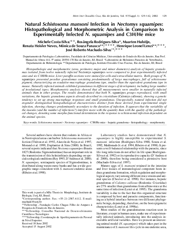 (PDF) Natural Schistosoma mansoni infection in Nectomys squamipes ...