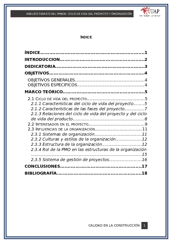 Doc Ciclo De Vida Del Proyecto