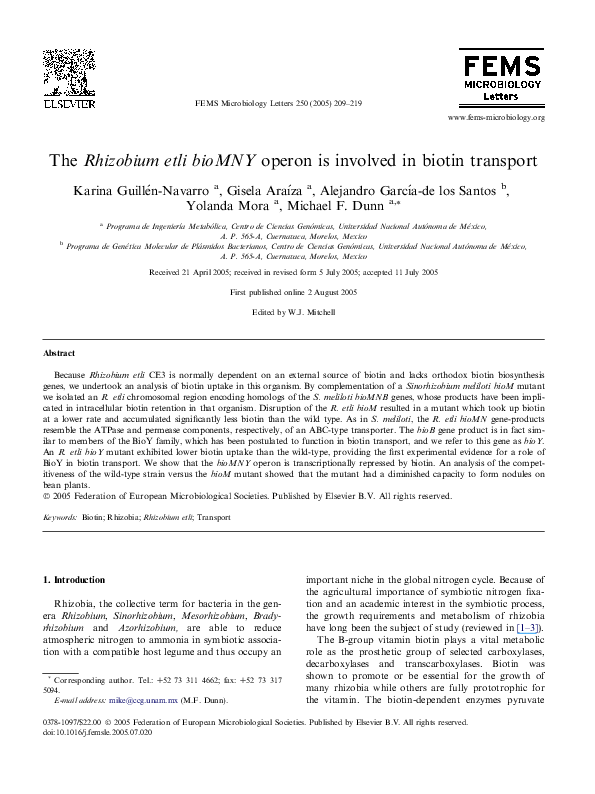(PDF) The Rhizobium etli bioMNY operon is involved in biotin transport