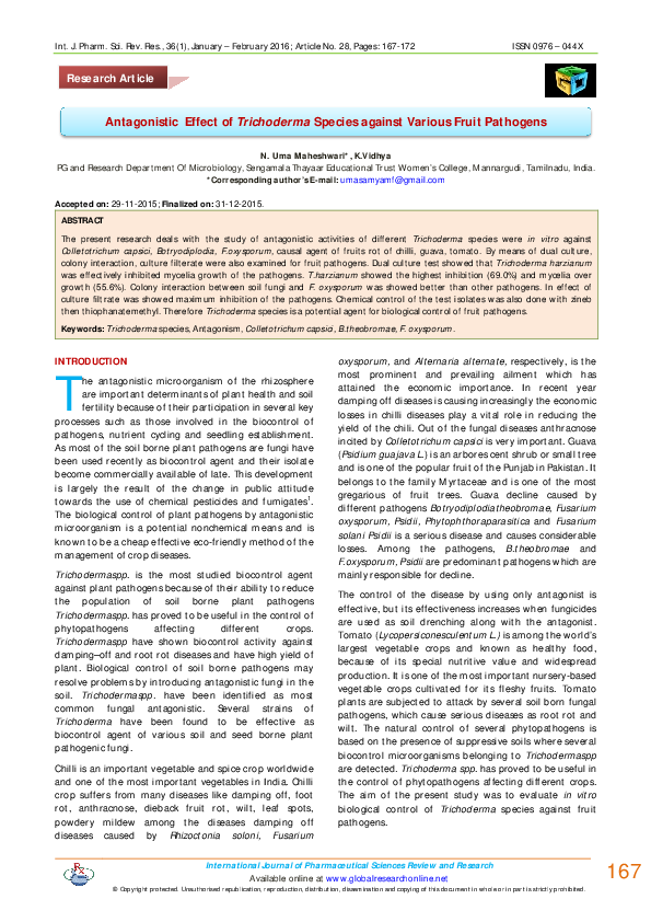 (PDF) Antagonistic effect of Trichoderma species against various fruit pathogens