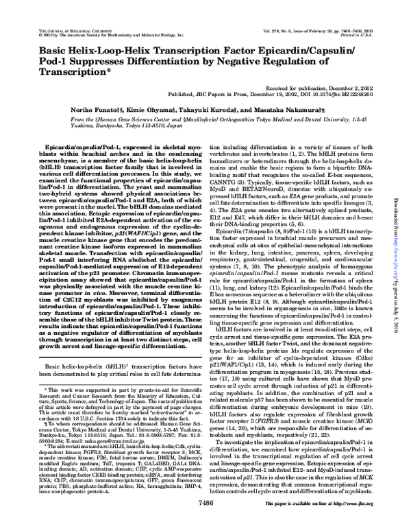 (PDF) The basic helix–loop–helix transcription factor capsulin controls spleen organogenesis ...