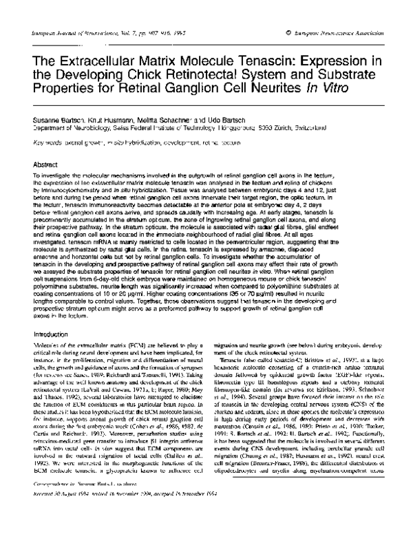 (PDF) The Extracellular Matrix Molecule Tenascin: Expression in the ...