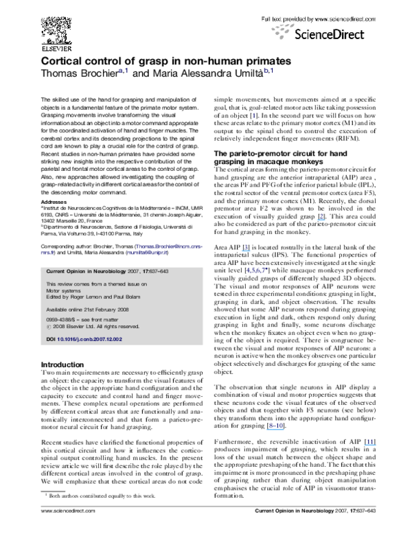(PDF) Cortical control of grasp in non-human primates