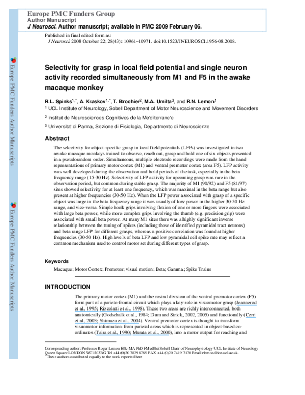 (PDF) Selectivity for Grasp in Local Field Potential and Single Neuron Activity Recorded ...