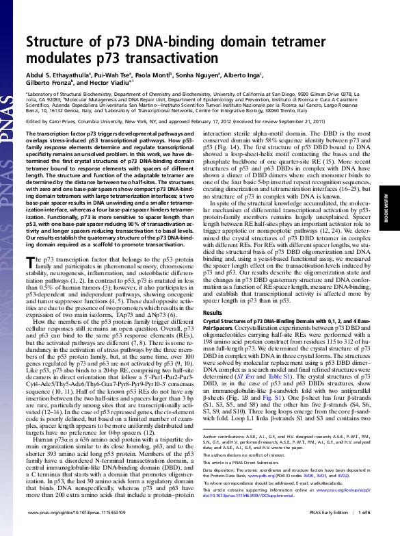(PDF) Structure of p73 DNA-binding domain tetramer modulates p73 ...